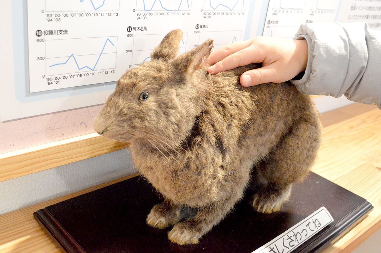 【WEBマガジン】 Compilation of Spots to Enjoy as a Family While on a Trip to ...