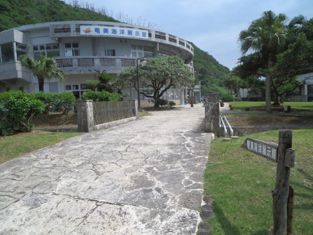 【WEBマガジン】 Let’s Explore the ocean of Amami at the ‘Amami Seaside Museum ...